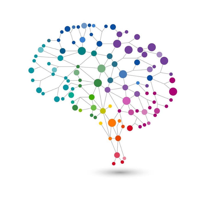 Dr. C.P. (Carlos) Fitzsimons - University of Amsterdam